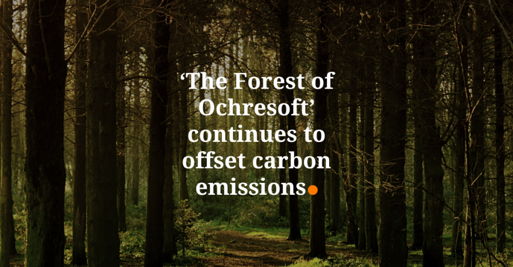 ‘The Forest of Ochresoft’ continues to offset carbon emissions - Ochresoft